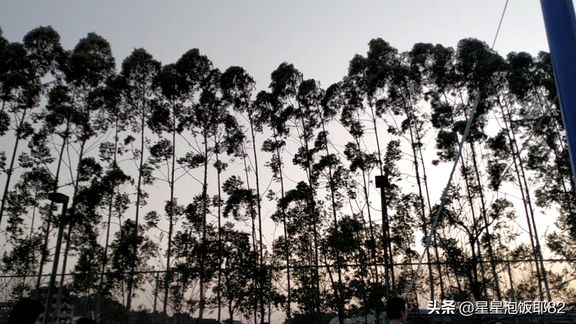 校园生活日记1️⃣#头条之星校园计划#