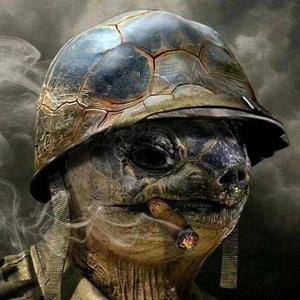 ߑ�ߏ�ߍ�五指龟心& 