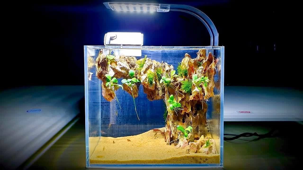 DIY实验室:建造一个家庭迷你书桌水族馆,仙气十足!
