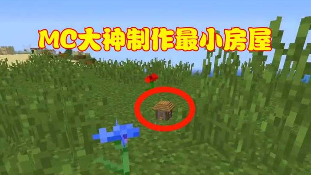 MC大神制作最小房屋,兔子体型都比建筑大,好处是非常容易隐藏