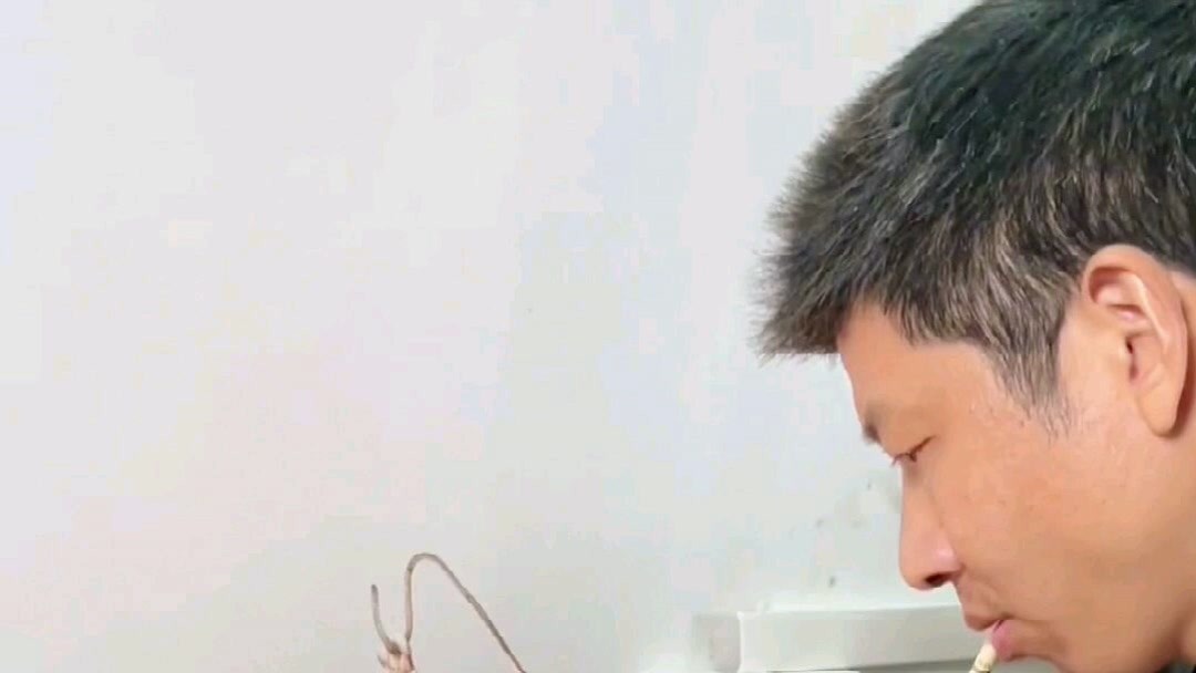 一只很少人能懂的黄翡手镯! #翡翠 #翡翠手镯 #珠宝首饰