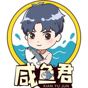 咸鱼君解说 