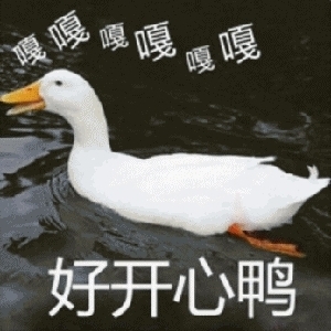 月皿 