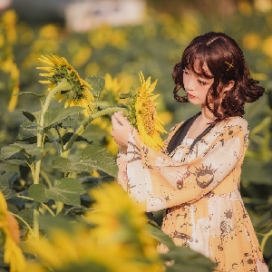 羽雨www 