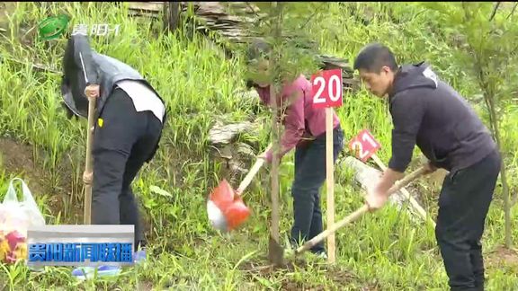 省市检察系统共建生态修复基地 七年补植复绿2363577株丨贵阳新闻