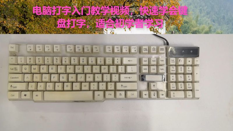 零基础电脑操作知识入门教程,电脑文员办公表格,电脑培训