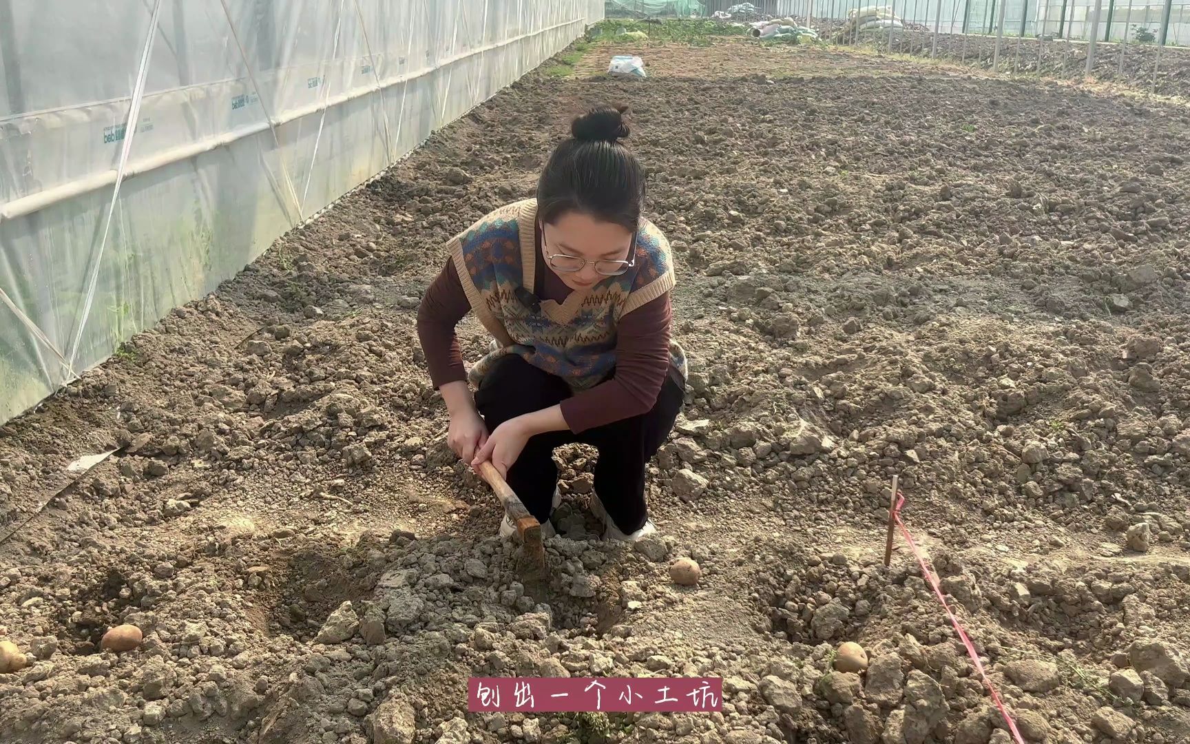 劳动与综合实践 -- 《种土豆》