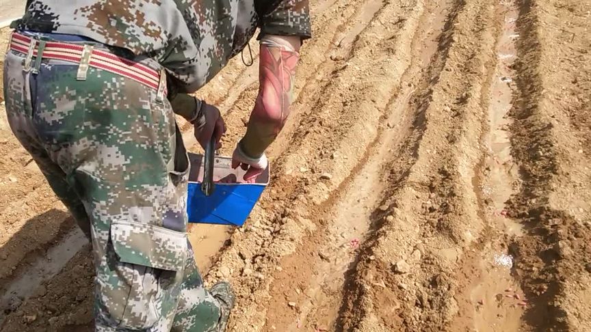 种地的庄稼人#农业种植 #一份耕耘一份收获