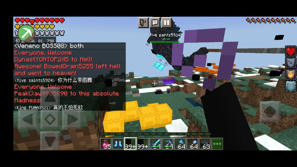 我的世界2b2t手机版(5)服务器惊现哥斯拉