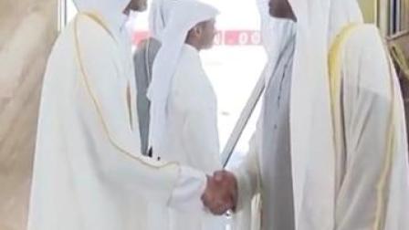 阿联酋总统抵达卡塔尔开启正式访问