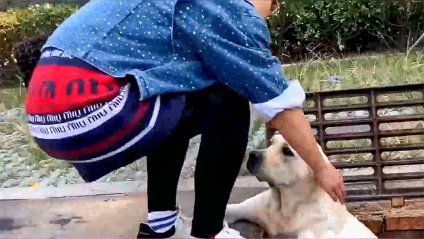 狗狗被困井里,得到好心人救助,狗狗知恩图报。