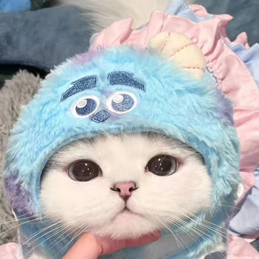 鸿斌HTT 