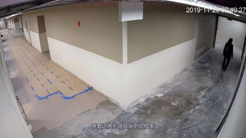 监拍美国警察抓小偷,这阵势,估计能小偷吓蒙圈