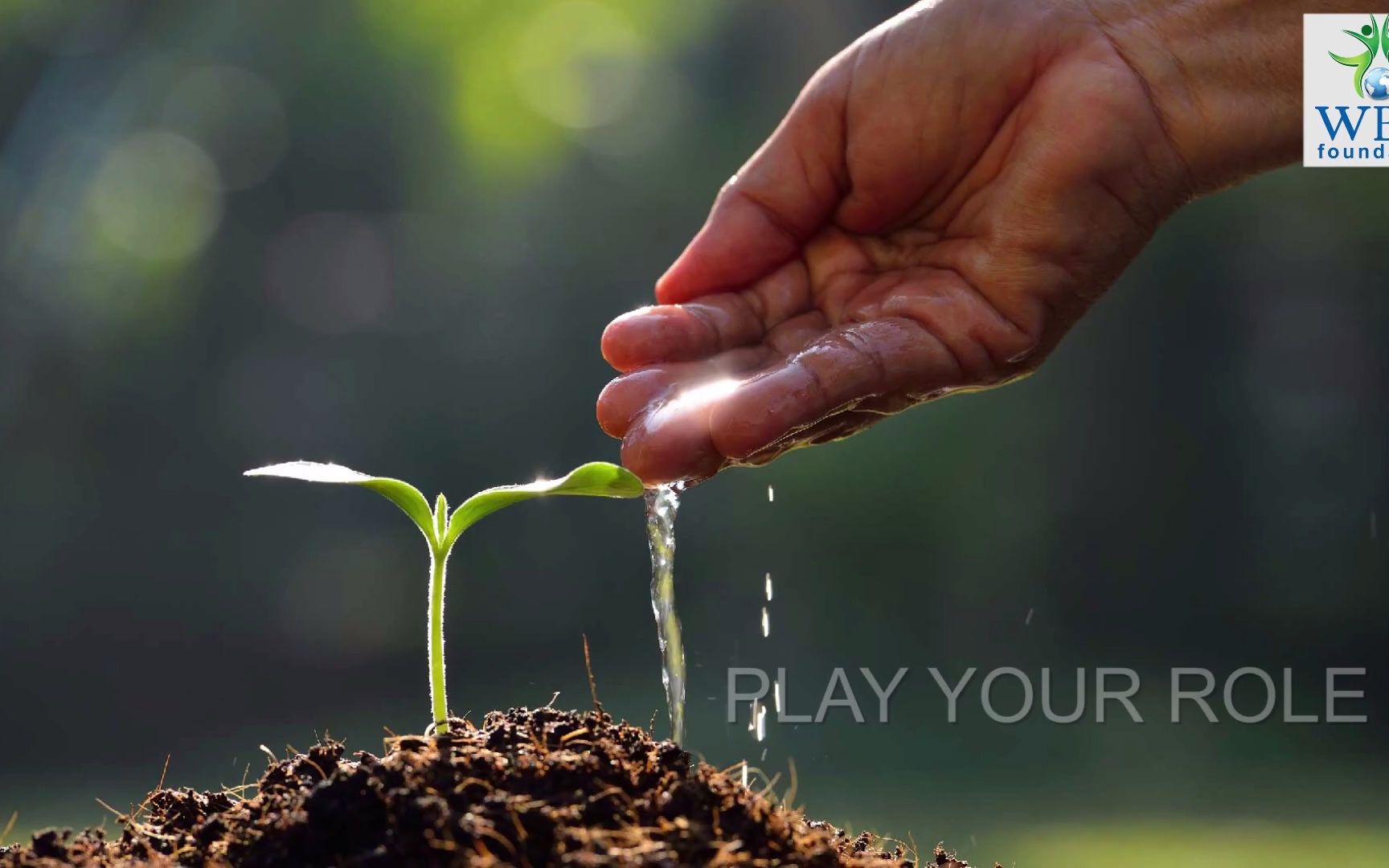 植树造林对污染的重要性