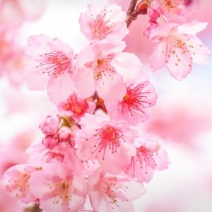 语文学习干货分享 