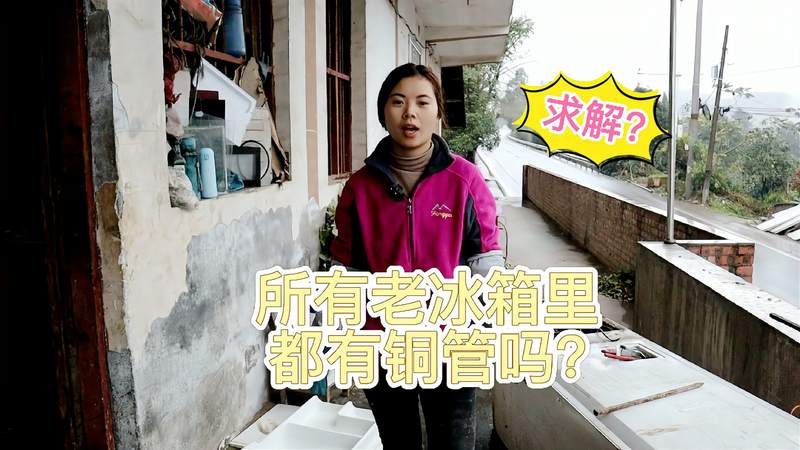 老冰箱里都能拆出铜管吗?小妹拆了两台03年的,结果出乎意料!