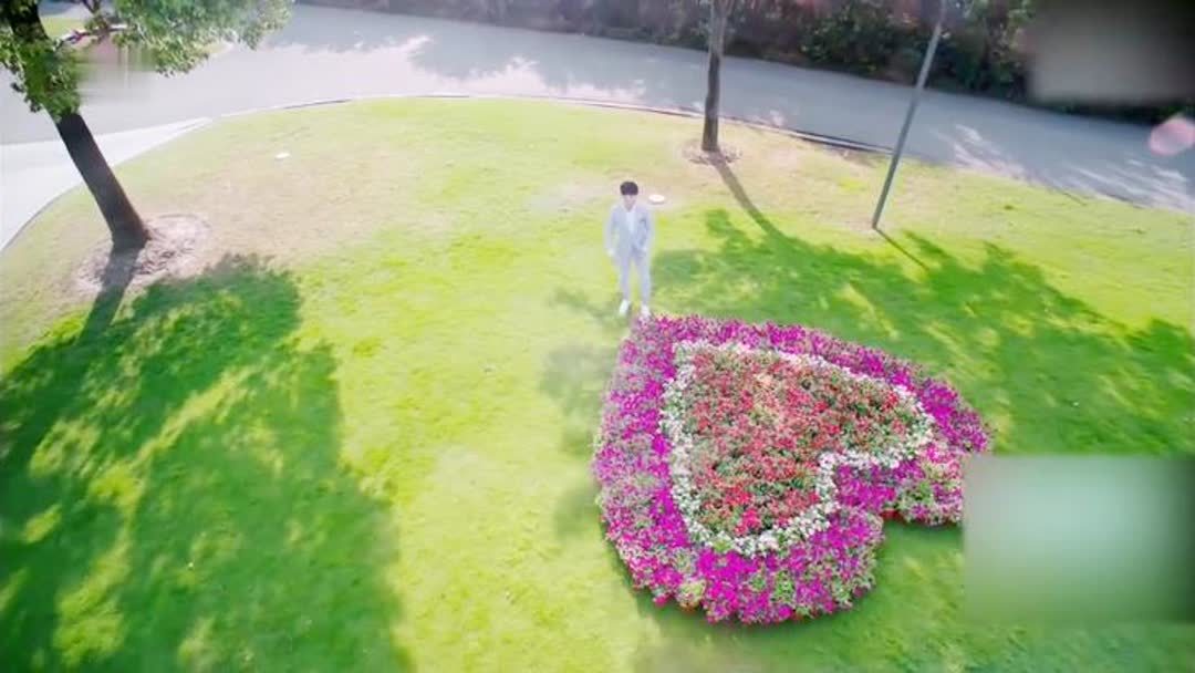 邓伦演的言情剧,摆爱心花朵告白,不料果果没当回事