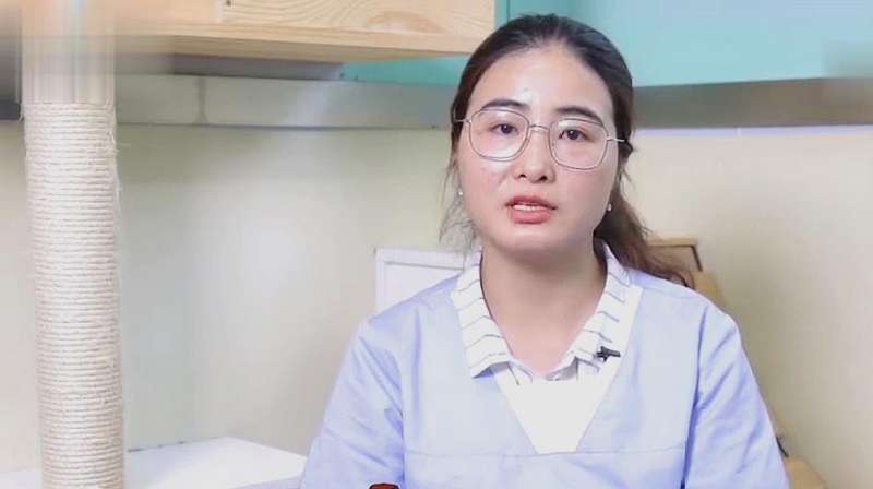 泰迪狗怎么训练,宠物训练师告诉你最全的训练方法