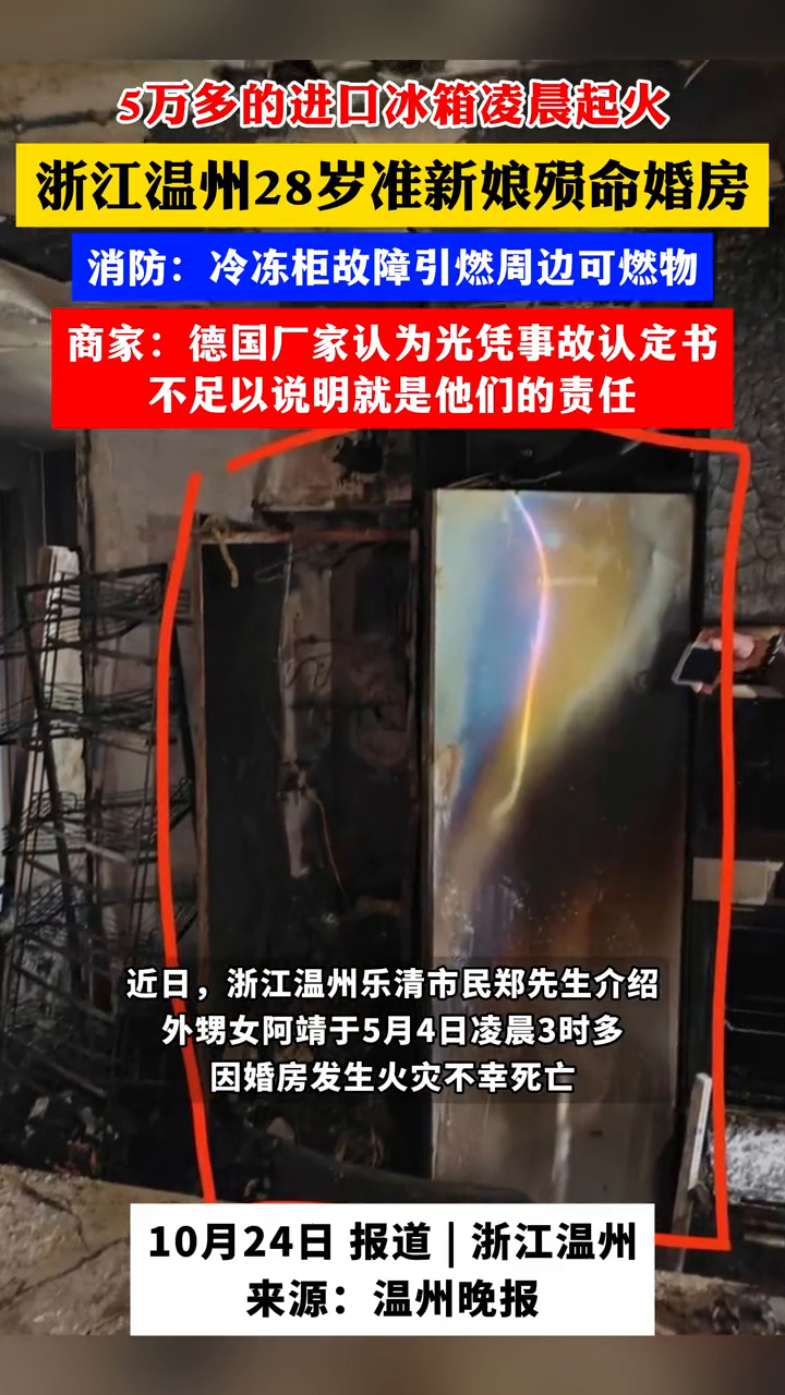 德国厂家认为光凭事故认定书不足以说明就是他们的责任