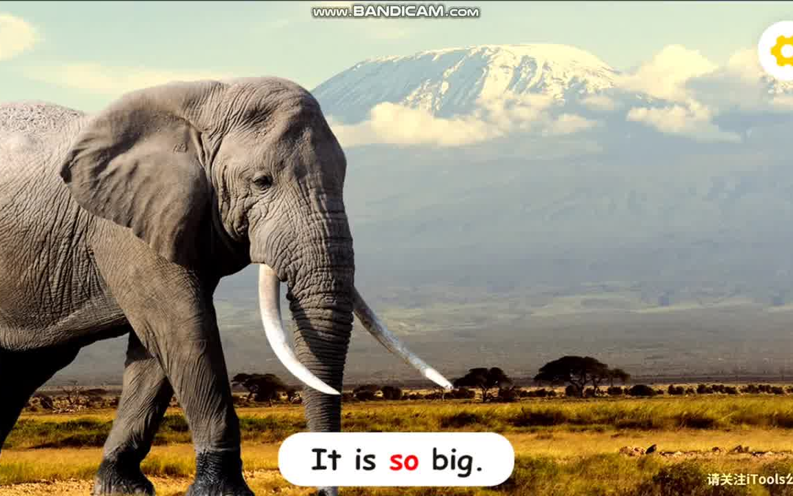 [迈思龙 ]儿童英语高频词 【220个常见词使用】(下) 自然拼读 听力 ...