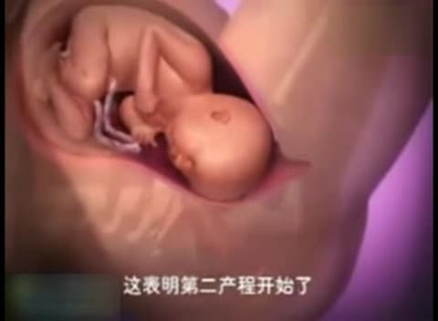 宝宝出生全过程【酷宝宝】 视频 视频