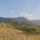 金竹影视工作室 