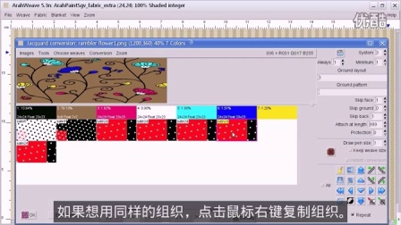 Arahne CAD/CAM 设计软件ArahWeave教程:花纬设计