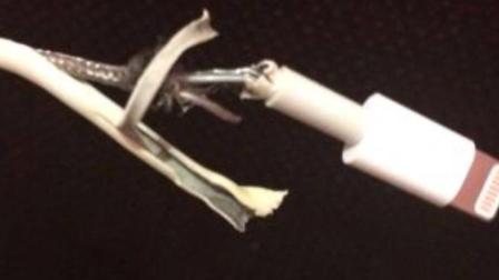 数据线经常断裂脱皮?只要拿起家中这个东西,数据线多用2年!