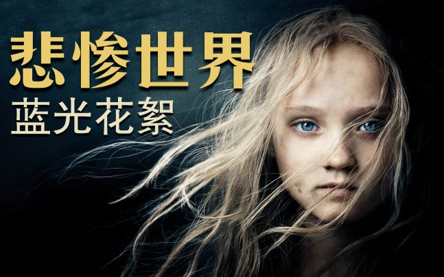 ...安妮·海瑟薇|阿曼达·塞弗里德|埃迪·雷德梅恩|海伦娜·伯翰·卡特]