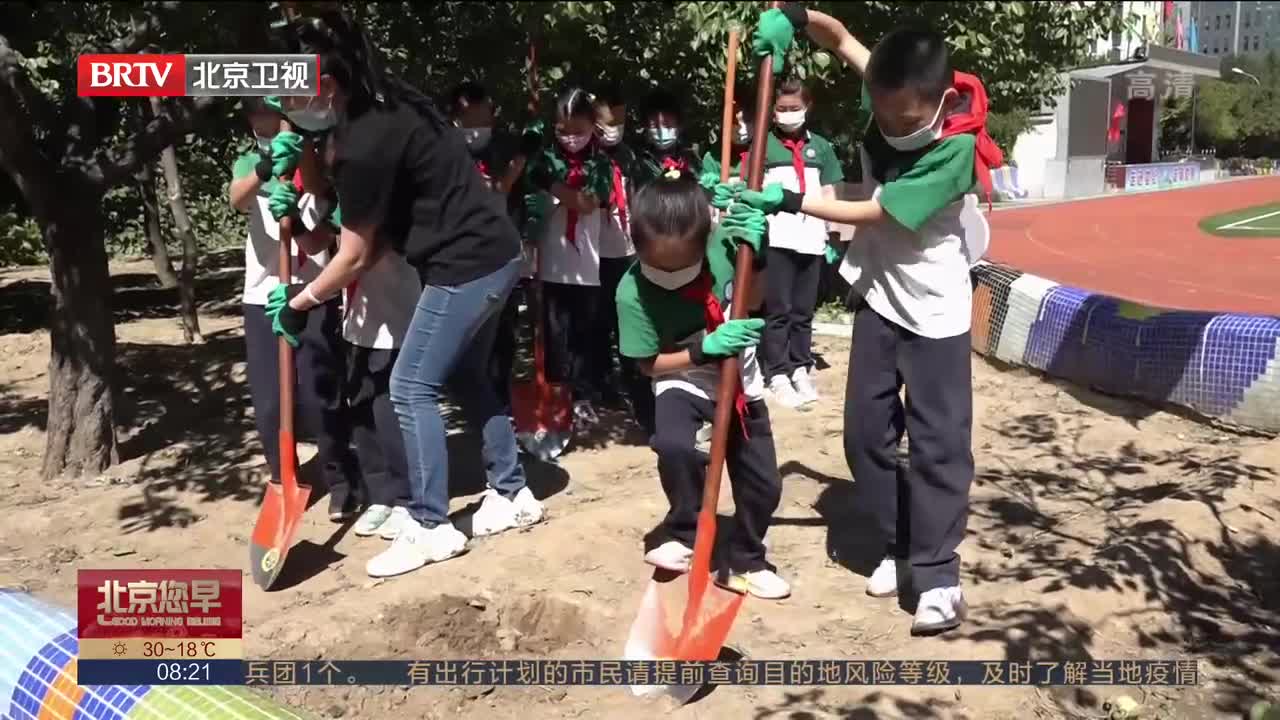 劳动教育“独立成课” 小学生劳动课程丰富多彩