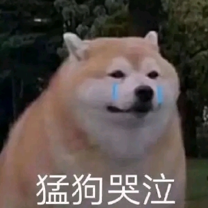 拾拾拾拾拾年_ 