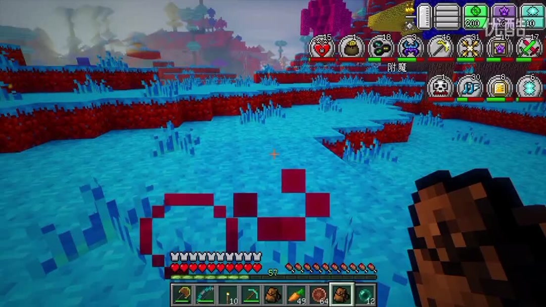 我的世界 Minecraft《籽岷 模组生存 虚无世界2 22》