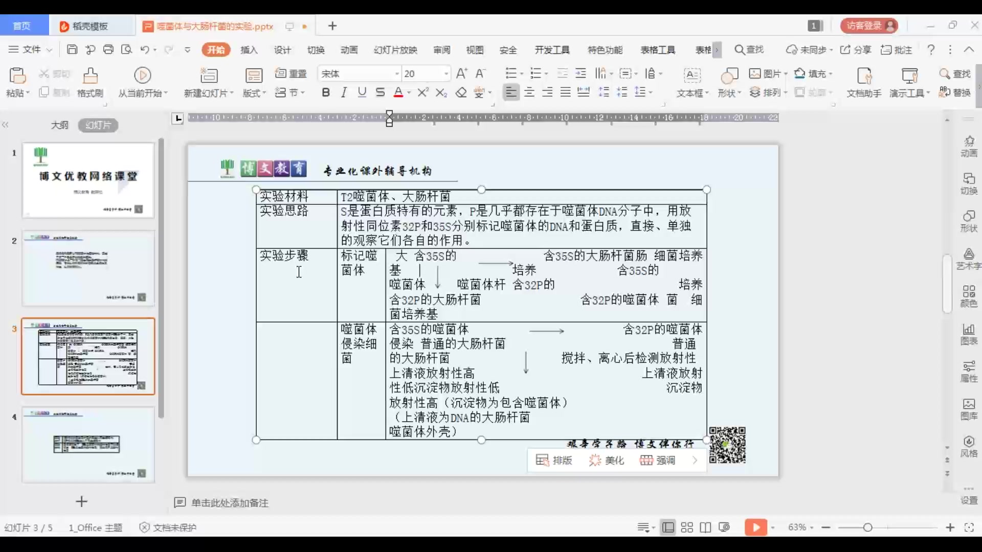 【高中生物】必修二第三章大肠杆菌与噬菌体的实验-盖娜