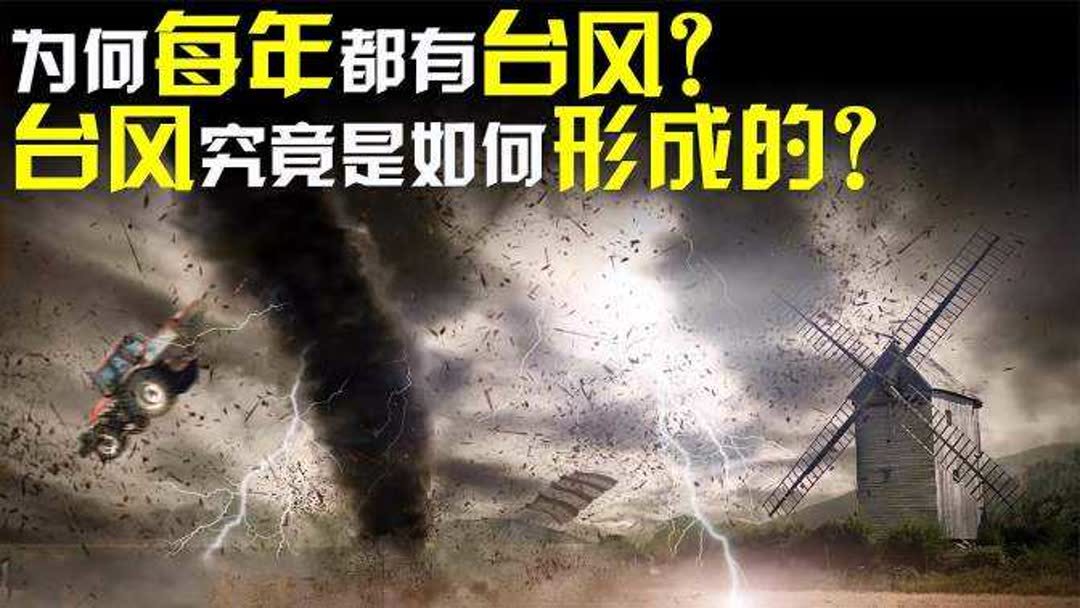 台风究竟是如何形成的?为何每年都有台风?这回可算明白了