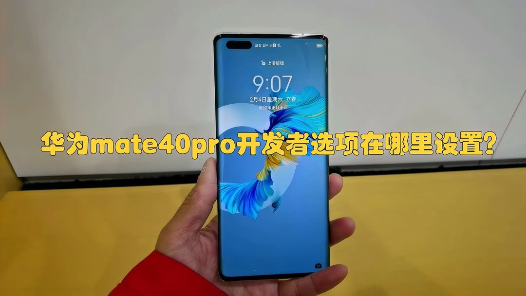 华为mate40pro开发者选项在哪里设置?