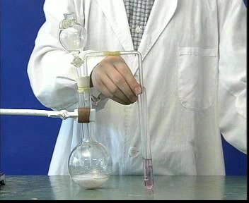 二氧化硫的漂白性