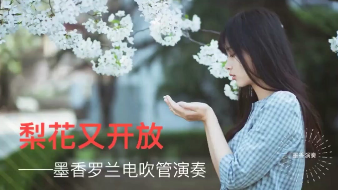 梨花又开放——墨香罗兰电吹管演奏