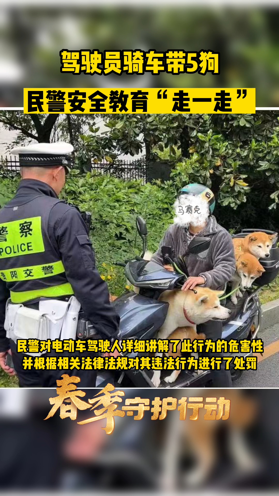 驾驶员骑车带5狗民警交通安全教育走一走