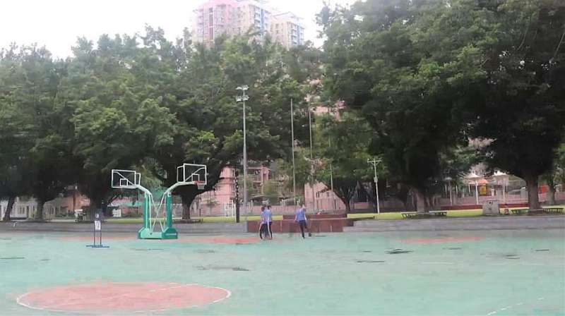 深圳美术学校的风景实在是太吸引人了
