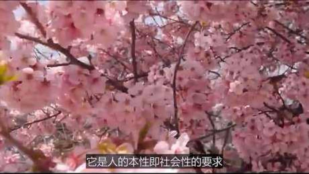 要生存和发展下去,必然要进行社会交往,人的本性即社会性的要求