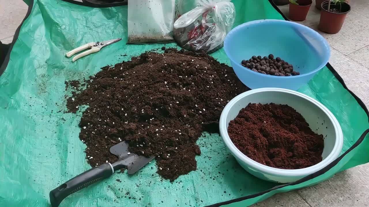园林绿化种植土规范