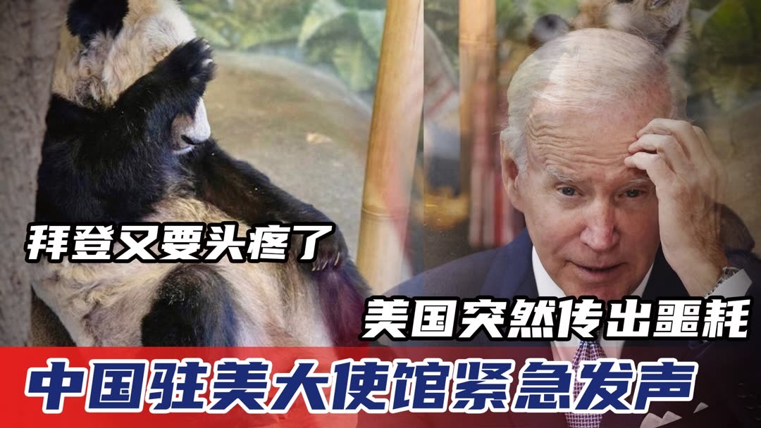 拜登又要头疼了,美国突然传出噩耗,中国驻美大使馆紧急发声