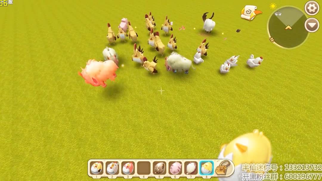 迷你世界:遨游天空的飞鸡,打遍天下的战斗鸡,垂头丧气的尖叫鸡