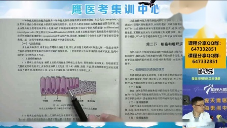 病理学第01章细胞和组织的适应与损伤2(6.24上午)