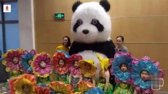 揭秘央视狗年春晚后台:国宝大熊猫“突袭”受围观