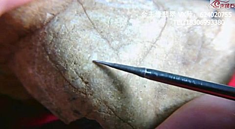 缅甸翡翠 正常粗细皮壳油亮带癣飘花有糯冰味的翡翠原石赌石毛料