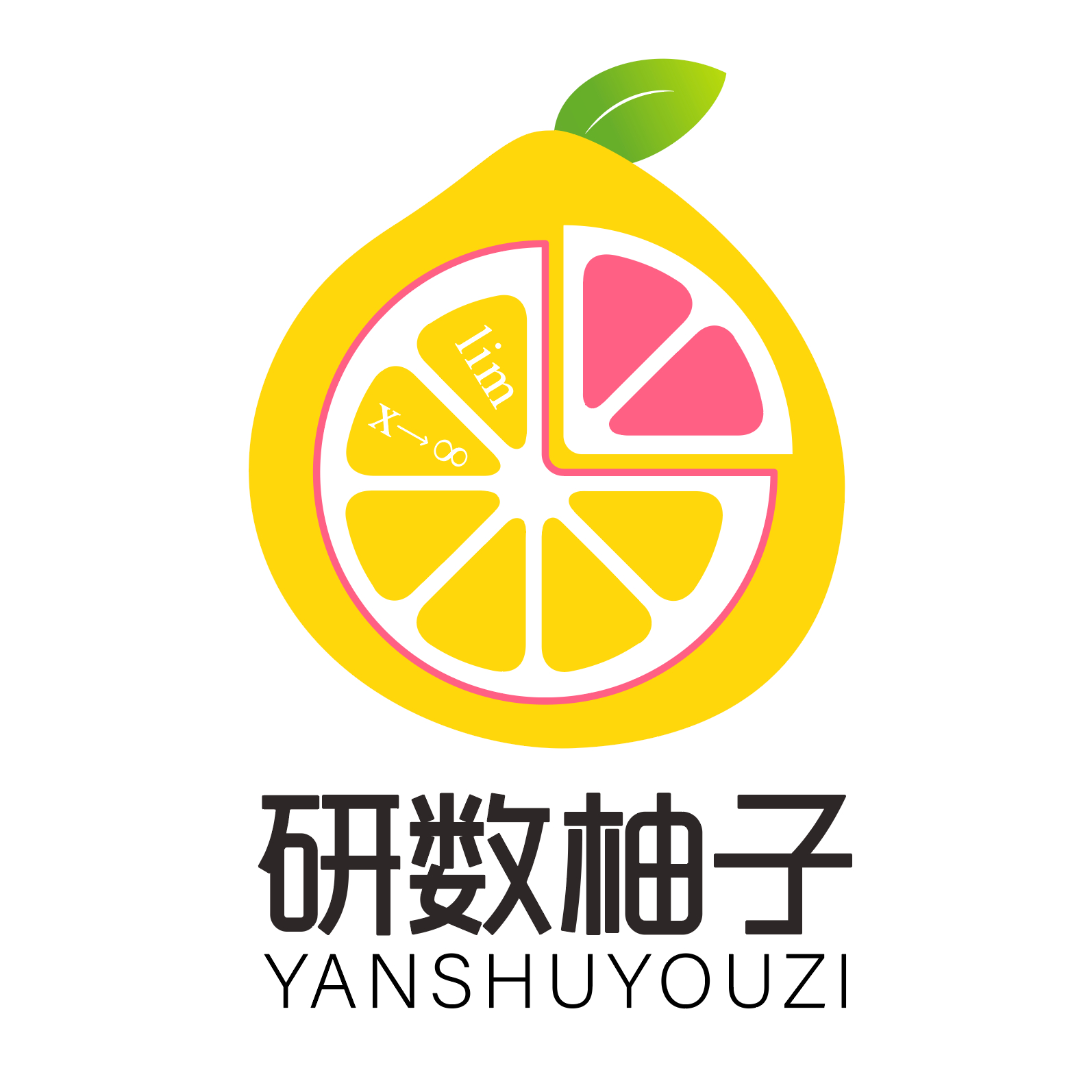 考研数学柚子君 