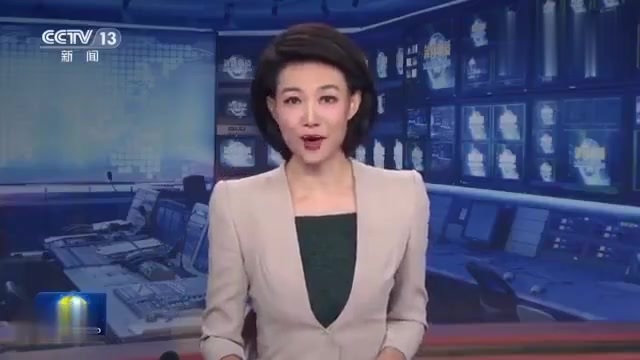 [视频]【央视快评】努力创造新时代中国防沙治沙新奇迹