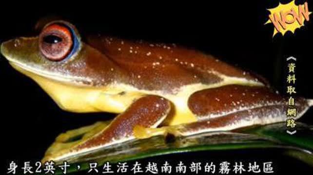 盘点5种诡异动物,不敢相信竟然存在地球上,太可怕了!