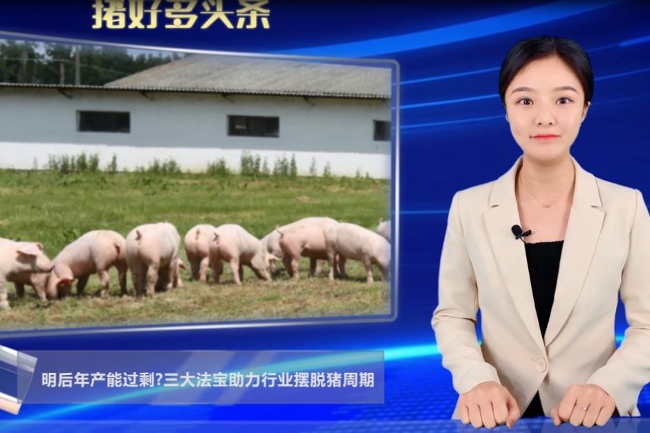 明后年产能过剩,新一轮猪周期即将到来?养猪业如何摆脱猪周期?
